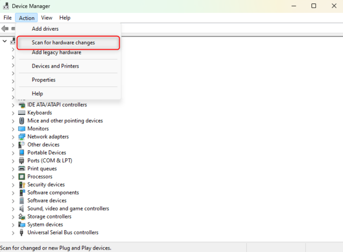 Photos from SD Card Not Showing on Camera and PC: How to Fix