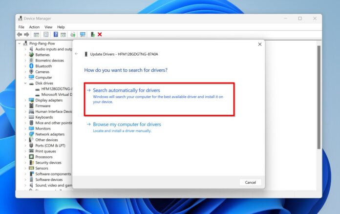 Hard Drive is Blinking but the Disk is Not Detected: How to Fix