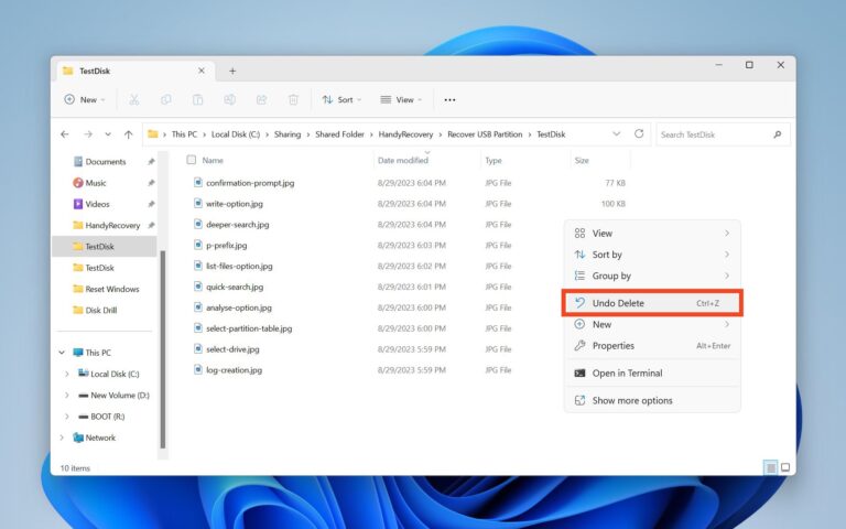 How to Undo a Delete Operation on Windows and Mac: 4 Methods