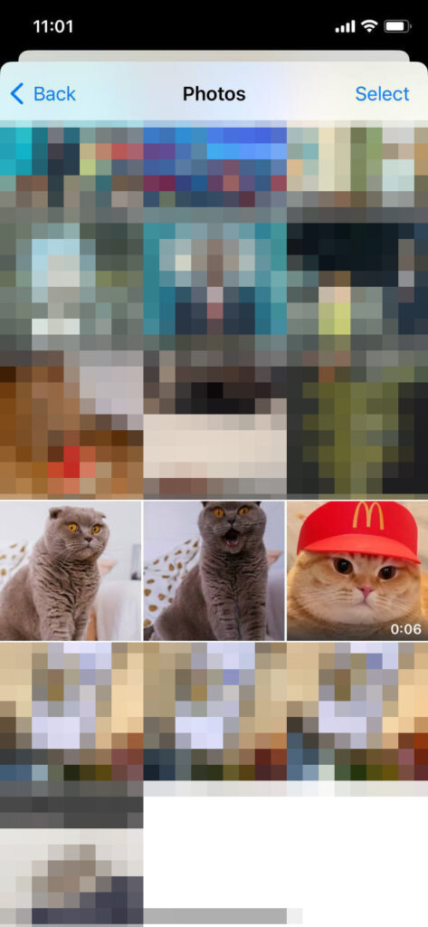 Cómo Recuperar Fotos Eliminadas De Un Iphone Con Sin Copia De Seguridad